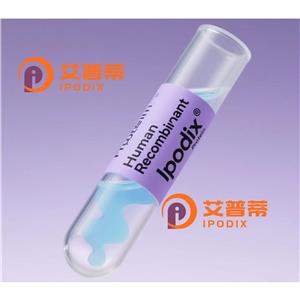 GCLM抗体;GCLM Antibody—艾普蒂 - ChemicalBook